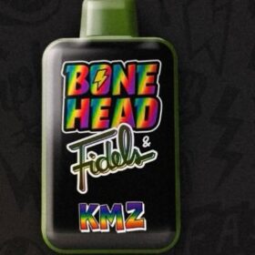 BoneHead Disposable Vape - 2G - Bone Head Official